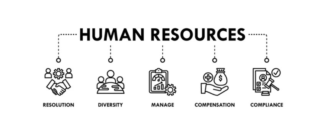 HRIS: Redefining Efficiency in Human Resources Management